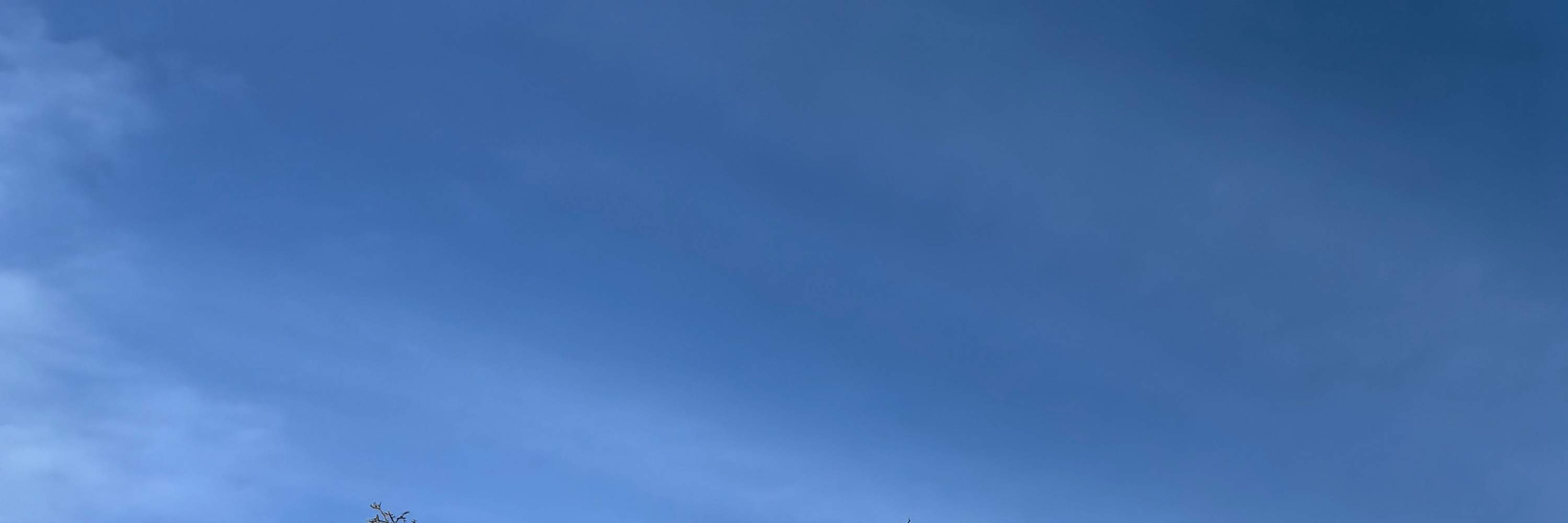 [Hokkaido Summer Internet Celebrity Check-in] Patchwork Road Seven Star ...